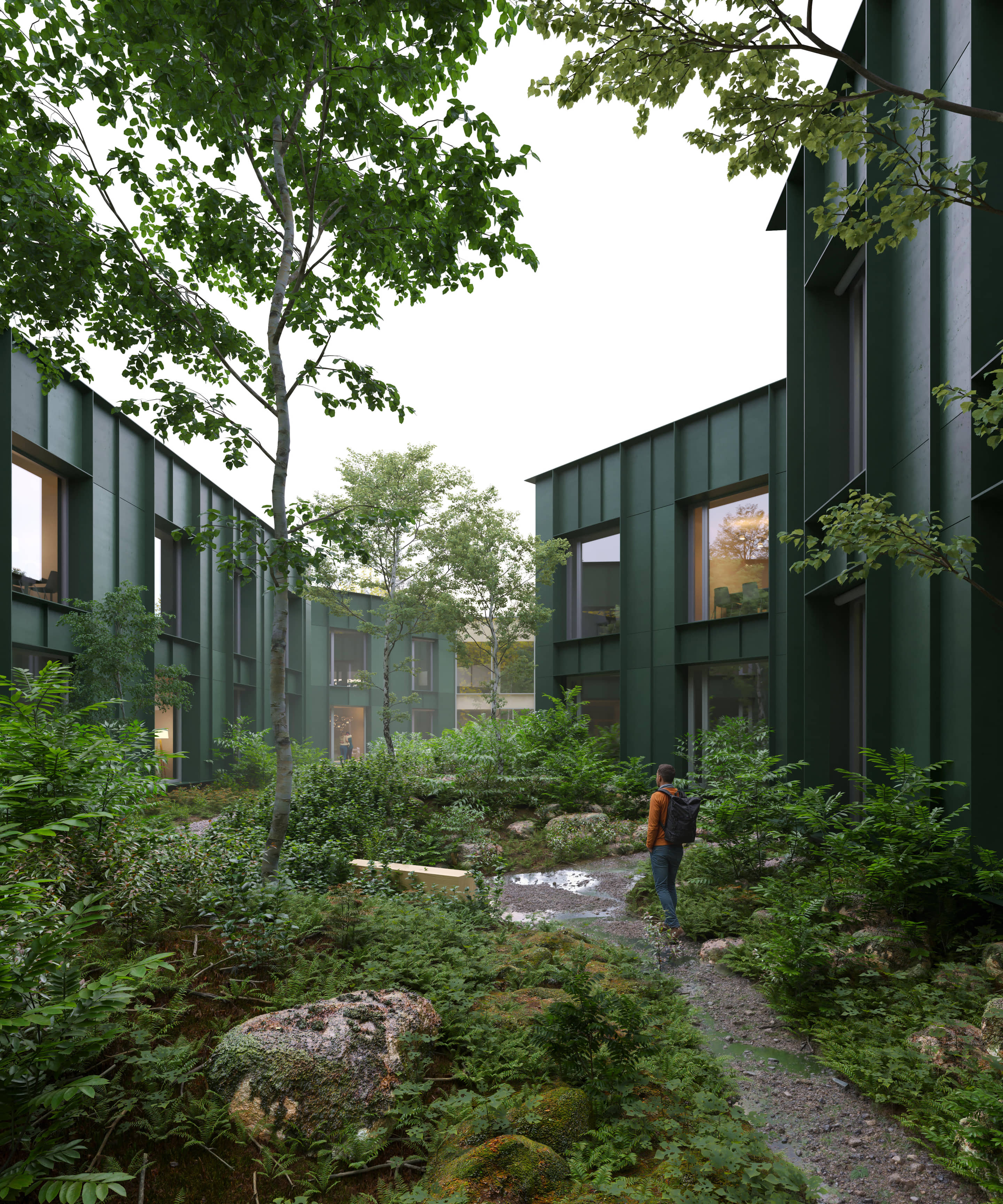 Forestry in the Forest